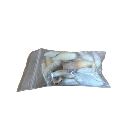 Gator Teeth – DUFFY'S